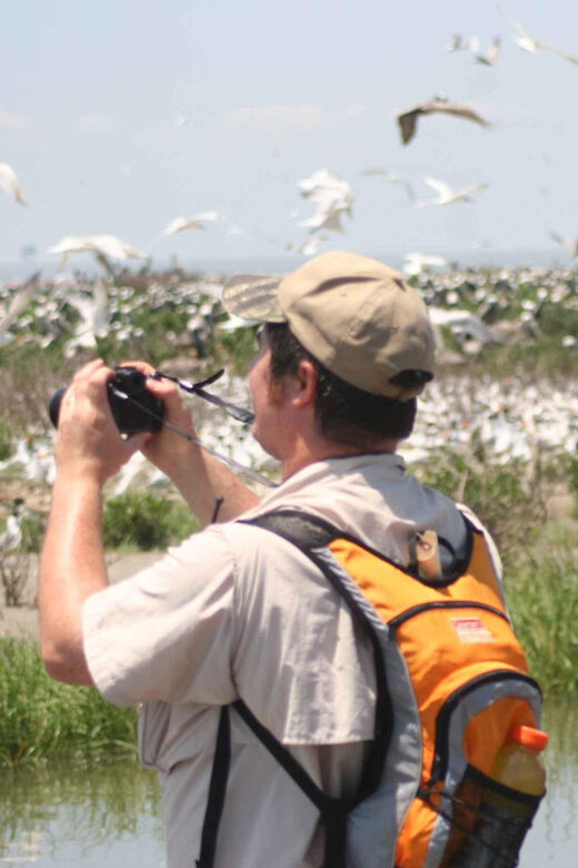 Day Trip from Boston: Guided Nature Walk at Crane Estate - Transportation and Logistics