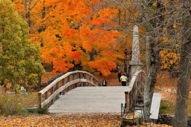 Day Trip from Boston: Historic Walking Tour of Concord, MA - Seamless Transportation and Logistics