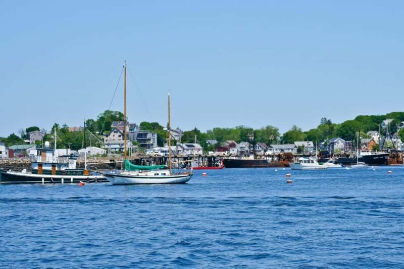Day Trip From Boston: Kayak Tour through Gloucester Harbor - What to Bring & Considerations