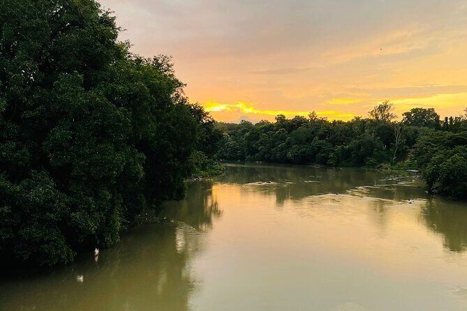 Day Trip from Goa to Anshi National Park (Kali Tiger Reserve) - An In-Depth Review of the Experience