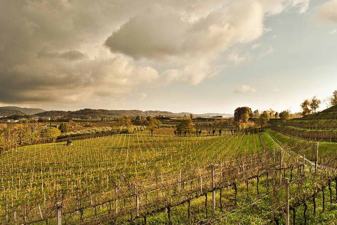 Day trip from Milan: Franciacorta, a paradise for wine lovers! - private tour - Key Points