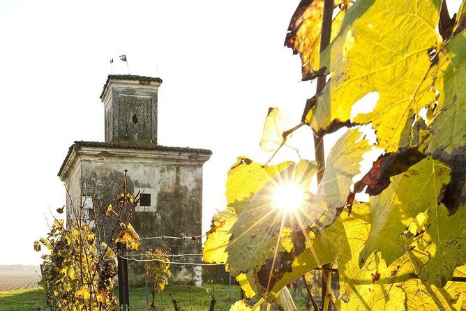 Day trip from Milan: Franciacorta, a paradise for wine lovers! - private tour - A Deep Dive into the Franciacorta Private Day Trip