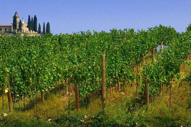 Day trip from Milan: Franciacorta, a paradise for wine lovers! - private tour - The Value of the Experience