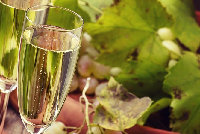 Day trip from Milan: Franciacorta, a paradise for wine lovers! - private tour - Final Thoughts
