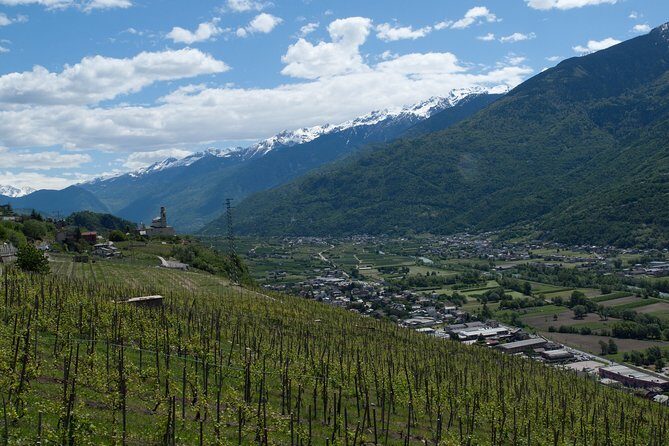 Day trip from Milan: Franciacorta, a paradise for wine lovers! - private tour - Frequently Asked Questions