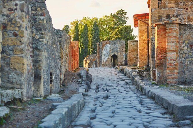 Day trip from Naples: Pompeii & Sorrento - private tour - A Thorough Breakdown of What to Expect
