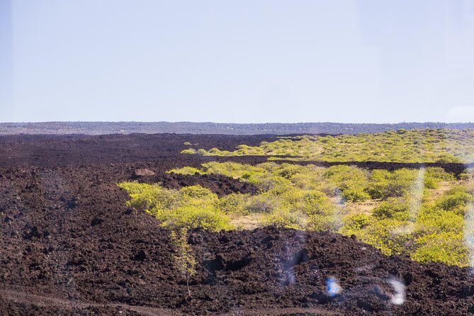 Day Trip from Oahu to Hilo: Volcano Adventure - Who Will Love This Tour?