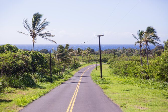 Day Trip from Oahu to Hilo: Volcano Adventure - FAQ