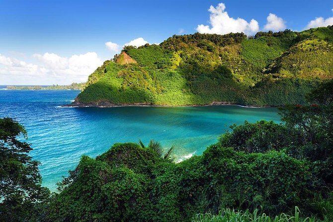 Day Trip from Oahu to Maui: Road to Hana Adventure - Scenic Drive on the Hana Highway