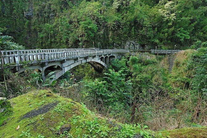 Day Trip from Oahu to Maui: Road to Hana Adventure - Optional Black Sand Beach & Ocean Recreation