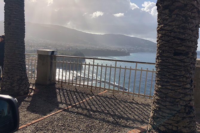 Day Trip from Rome to Pompei and Amalfi Cost (12hrs) - What Travelers Are Saying