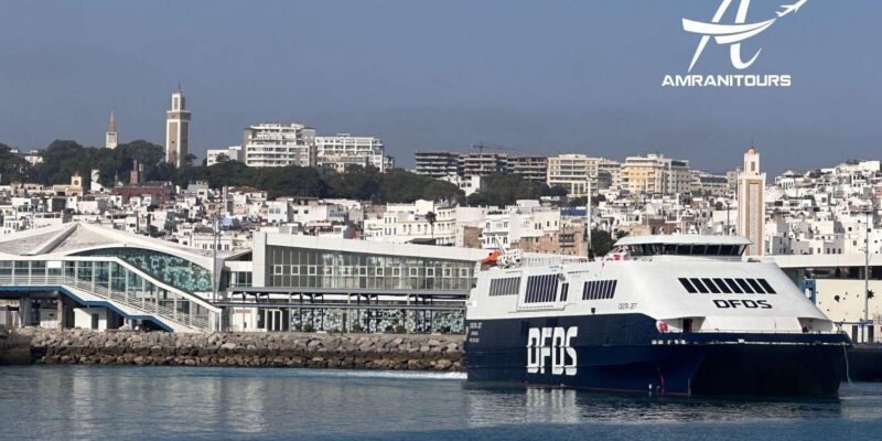 Day trip from Seville to Tangier all inclusive - Who Will Love This Tour