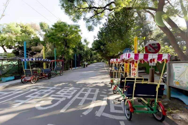 Day Trip from Taipei: Coast Cycling, Railbike & Ginger Spa - A Deep Dive into the Experience