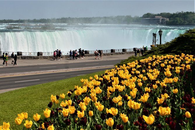 Day-Trip from Toronto to Niagara Falls with skip-the-line boat - What the Tour Means for You