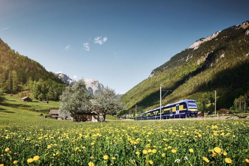 Day Trip from Zurich: Grindelwald First Mountain Adventure - Key Points