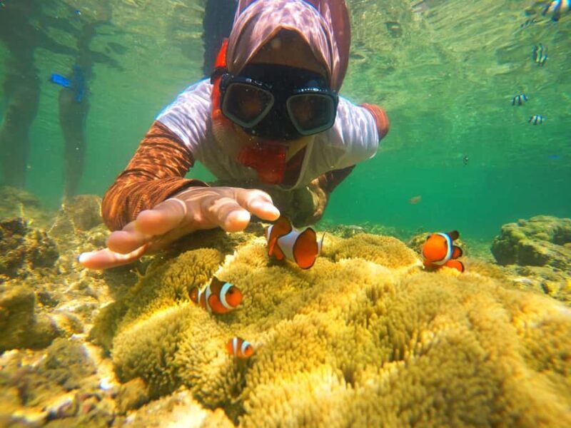 Day Trip Gili Nanggu,Kedis&Sudak With Pick Up - Transportation and Group Size