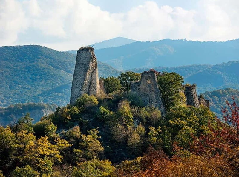 Day trip in Kakheti-Beauty and Love in a Glass Wine - An In-Depth Look at the Tour Experience