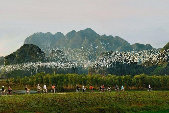 Day Trip in Ninh Binh Tour from Hanoi - Final Thoughts