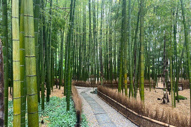 Day Trip Kamakura from Tokyo with National Licensed Guide - FAQ