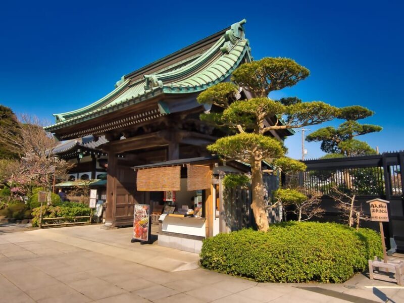 Day Trip Kamakura from Tokyo with National Licensed Guide - A Complete Guide to the Kamakura Day Trip Experience