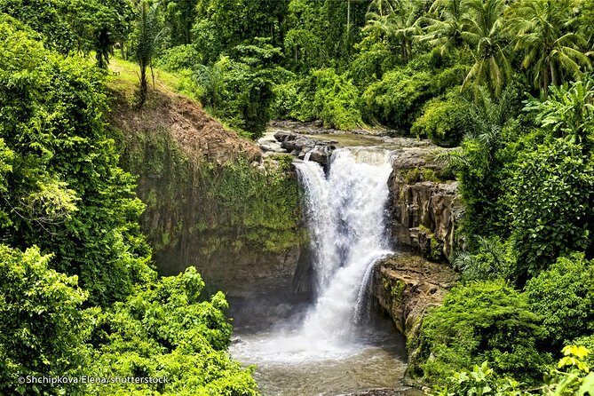 Day Trip Kintamani Volcano Downhill Cycling Tegenungan Waterfall - Who Is This Tour Best For?