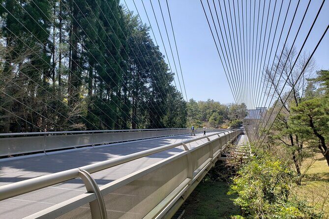 Day Trip MIHO Museum and Shigaraki from Kyoto by Private Car - Key Points