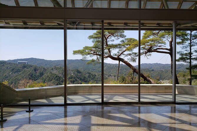 Day Trip MIHO Museum and Shigaraki from Kyoto by Private Car - Why This Tour Stands Out