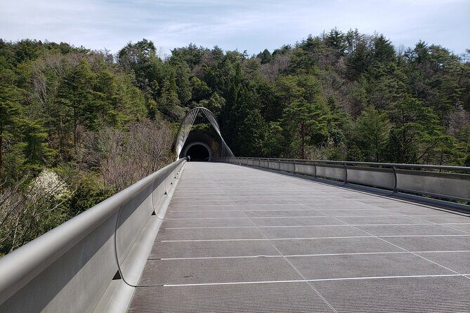 Day Trip MIHO Museum and Shigaraki from Kyoto by Private Car - Who Is This Tour Best For?