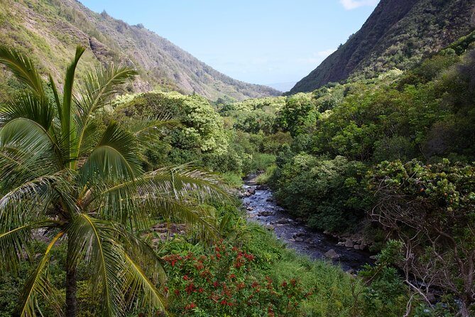 Day Trip Oahu to Maui: Sips, Sites and Bites - The Exciting Itinerary: What You’ll Experience