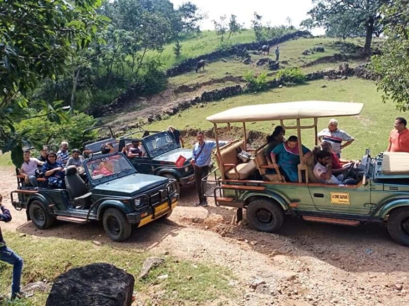 Day Trip Of Kumbhalgarh Fort & Wildlife Safari From Udaipur - FAQ