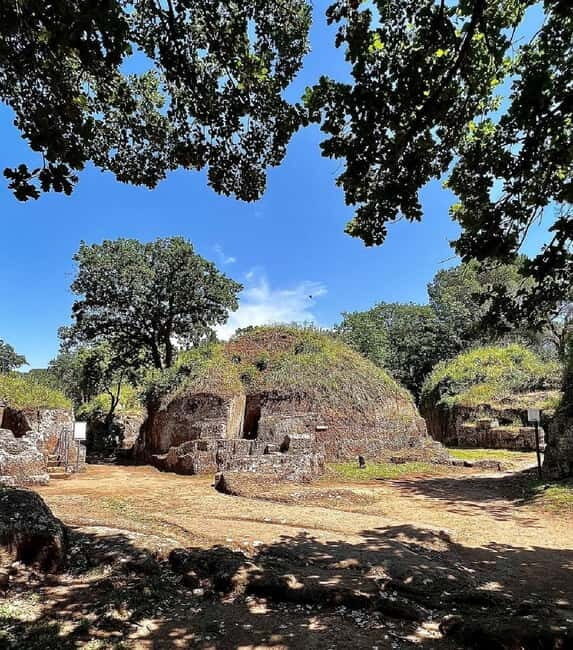 Day trip Rome: Tarquinia and Cerveteri, Etruscan tour - The Itinerary in Detail