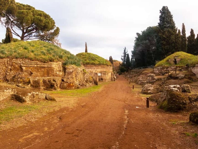 Day trip Rome: Tarquinia and Cerveteri, Etruscan tour - What the Reviews Say