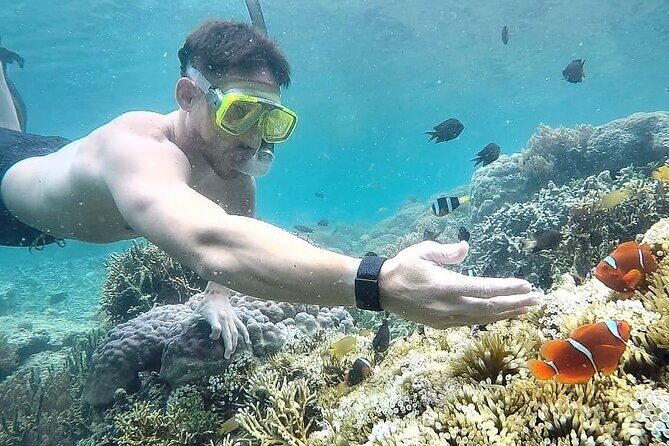 Day Trip Secret Island West Of Lombok - FAQ