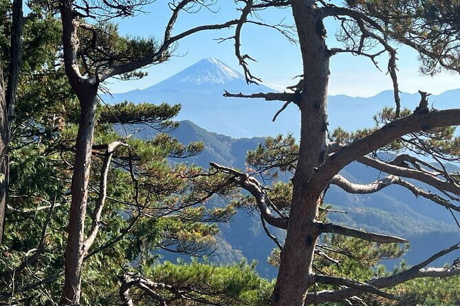 Day Trip Shosen Valley from Tokyo - What Makes Shosenkyo Special?