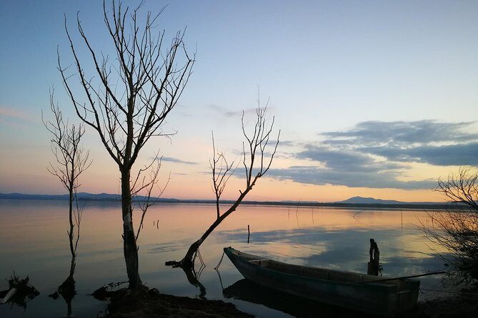 Day Trip: Speedboat Tour Of Lake Trasimeno With Lunch + Assisi Private Tour - The Itinerary: What’s Included and What to Expect