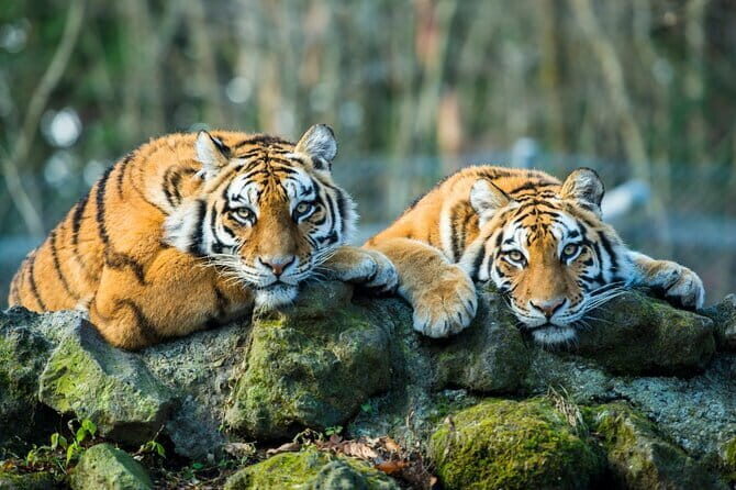 Day Trip Taj Mahal, Agra Fort & Baby Taj Tour from Delhi by Car - Final Thoughts