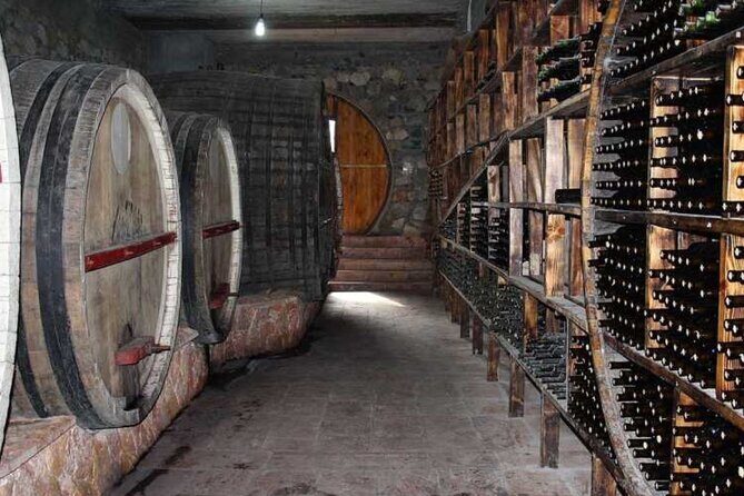 Day Trip: Tatev Ropeway-Noravank-Shaki Waterfall-Wine Degustation - Who Should Consider This Tour?