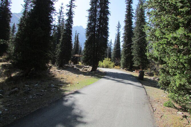 Day trip to Ala-Archa national park - Authentic Experiences and Traveler Feedback