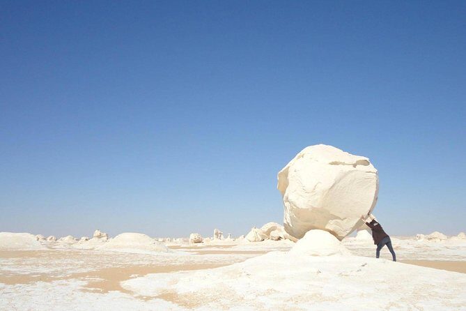 Day Trip To Bahariya Oasis Visit Black And White Desert From Cairo - Conclusions