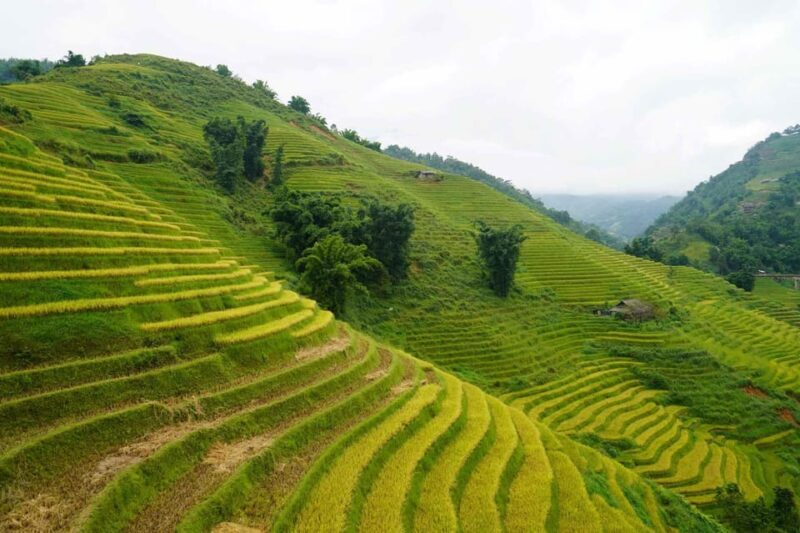 Day Trip to Cat Cat village - Fanxipang Peak/Lunch - The Experience: Pros and Cons in Detail
