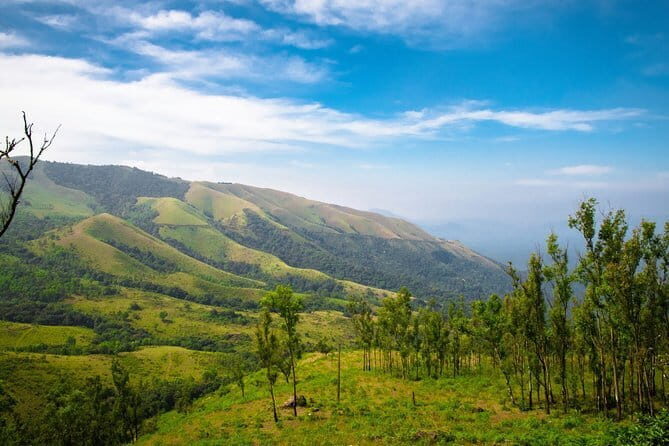 Day Trip to Chikmagalur (Guided Sightseeing Tour by Car from Mysore) - Key Points