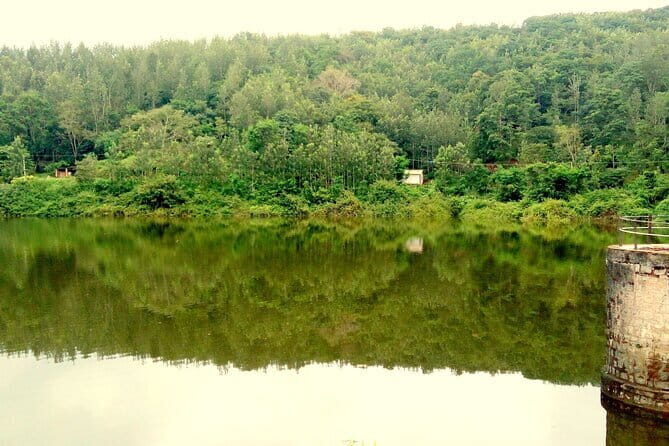 Day Trip to Chikmagalur (Guided Sightseeing Tour by Car from Mysore) - An In-Depth Look at the Tour Experience