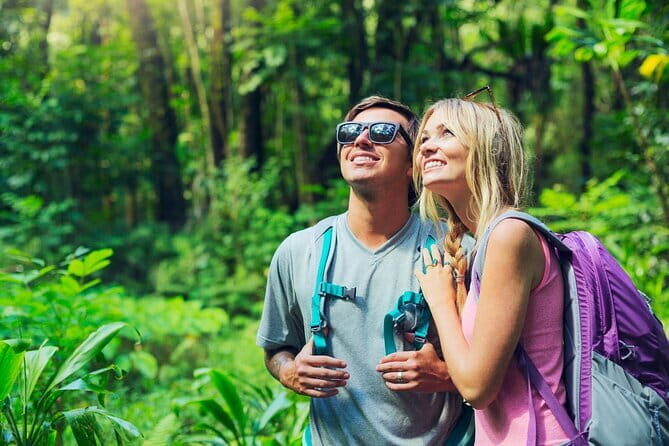 Day Trip to Chikmagalur (Guided Sightseeing Tour by Car from Mysore) - Who Is This Tour Best For?