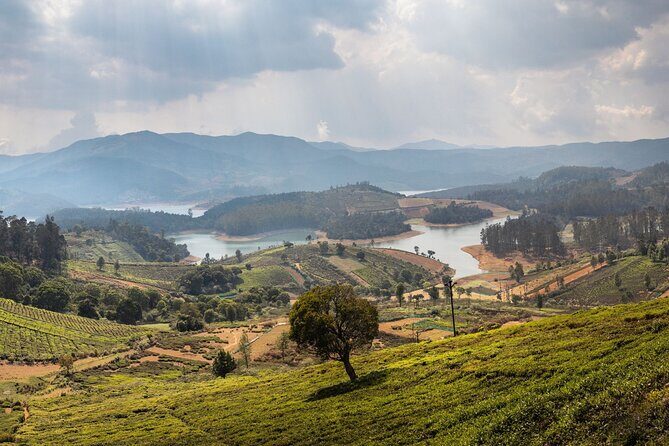 Day Trip to Coonoor (Guided Sightseeing Tour by Car from Ooty) - The Practicalities & What You’ll Experience