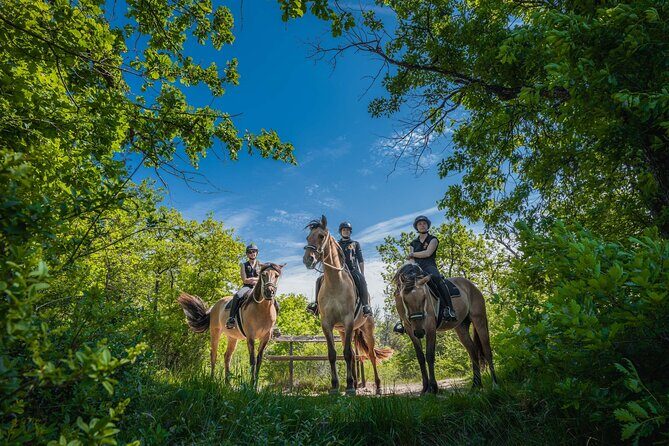 Day Trip to Fontainebleau : Horse Riding, Gastronomy and Castle - Full Breakdown of the Experience