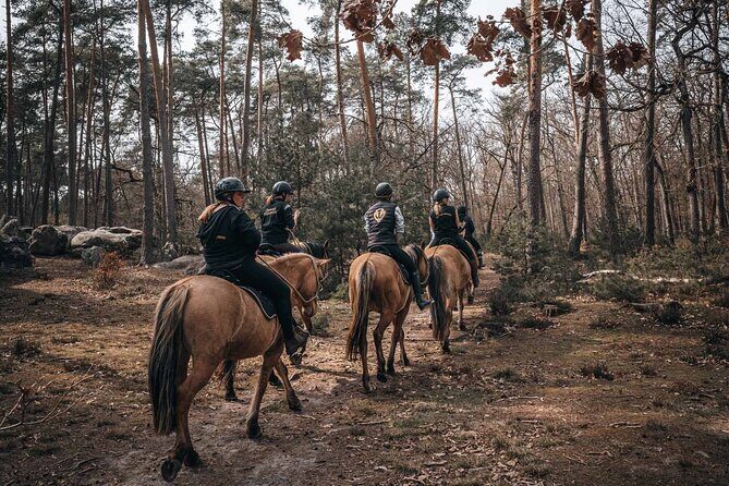 Day Trip to Fontainebleau : Horse Riding, Gastronomy and Castle - The Sum Up