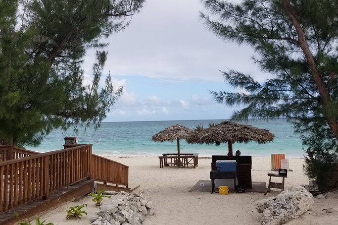 Day Trip To Freeport, Grand Bahama - Tickets only - What This Tour Offers for the Price