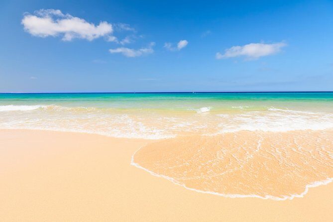 Day trip to Fuerteventura from Lanzarote - Who Will Love This Tour?