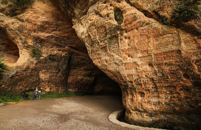 Day Trip To Gauja National Park: Animals, and Castles - Key Points