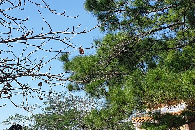 Day Trip To Hue City and Back From Da Nang By Private Car - FAQs